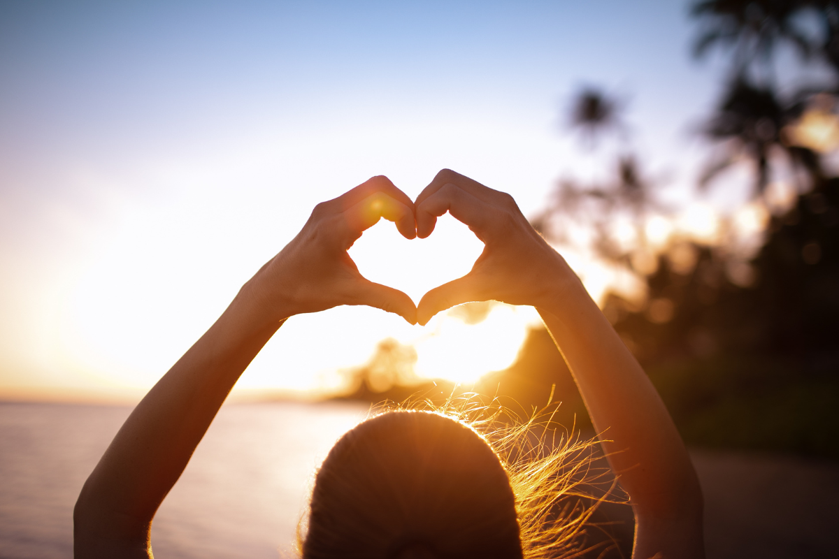 PATTSY WAVE Rated IP Management Software Leader and Easiest to Use ...