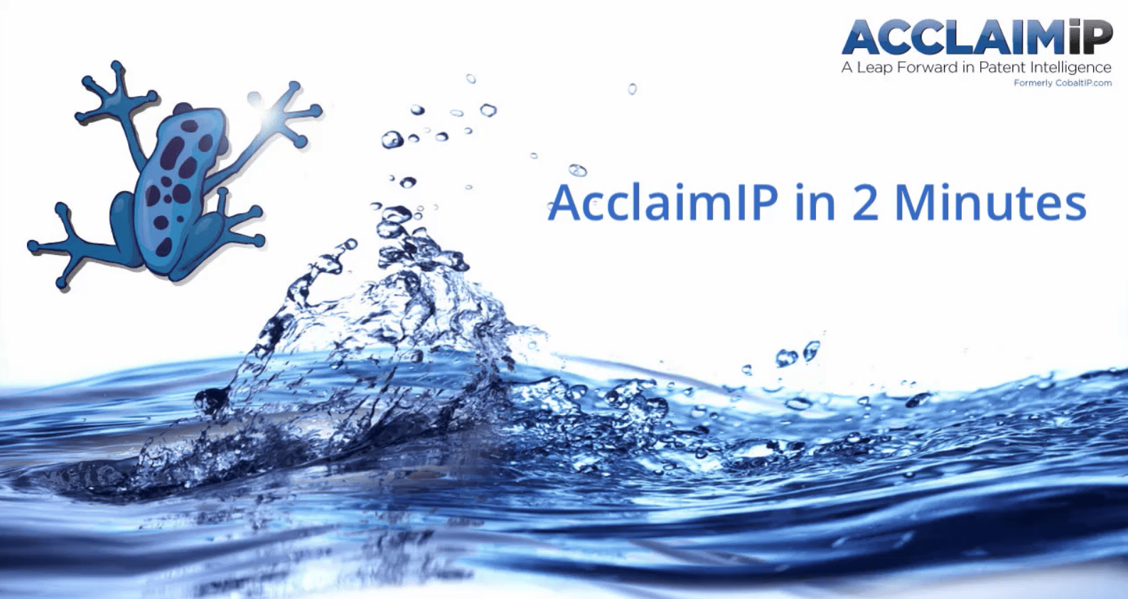 Acclaim Intellectual Property In 2 Minutes | Patent Software